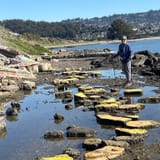 Albany Bulb, California - 368 Reviews, Map | AllTrails