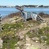 Albany Bulb, California - 363 Reviews, Map | AllTrails