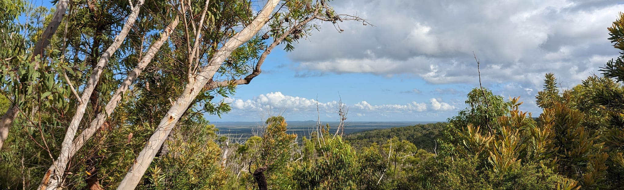 Cooloola Great Walk: Segment 2, Queensland, Australia - 68 Reviews, Map ...