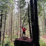 Miner's Ridge Trail, Clintonia Trail, and Gold Bluffs Beach Loop ...