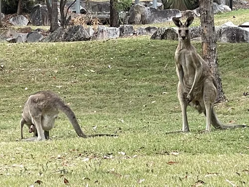 Best Hikes and Trails in Biarra | AllTrails