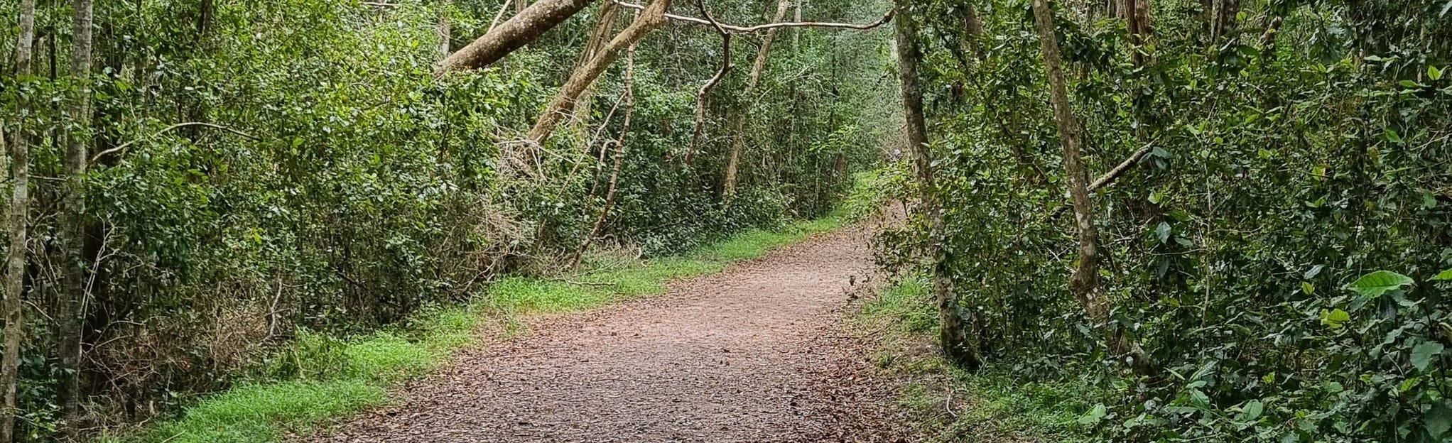 Kringe in 'n Bos, Western Cape, South Africa - 32 Reviews, Map | AllTrails