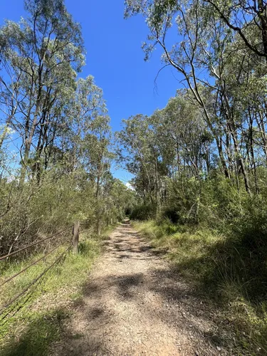 10 Best Trails and Hikes in Mulgoa | AllTrails