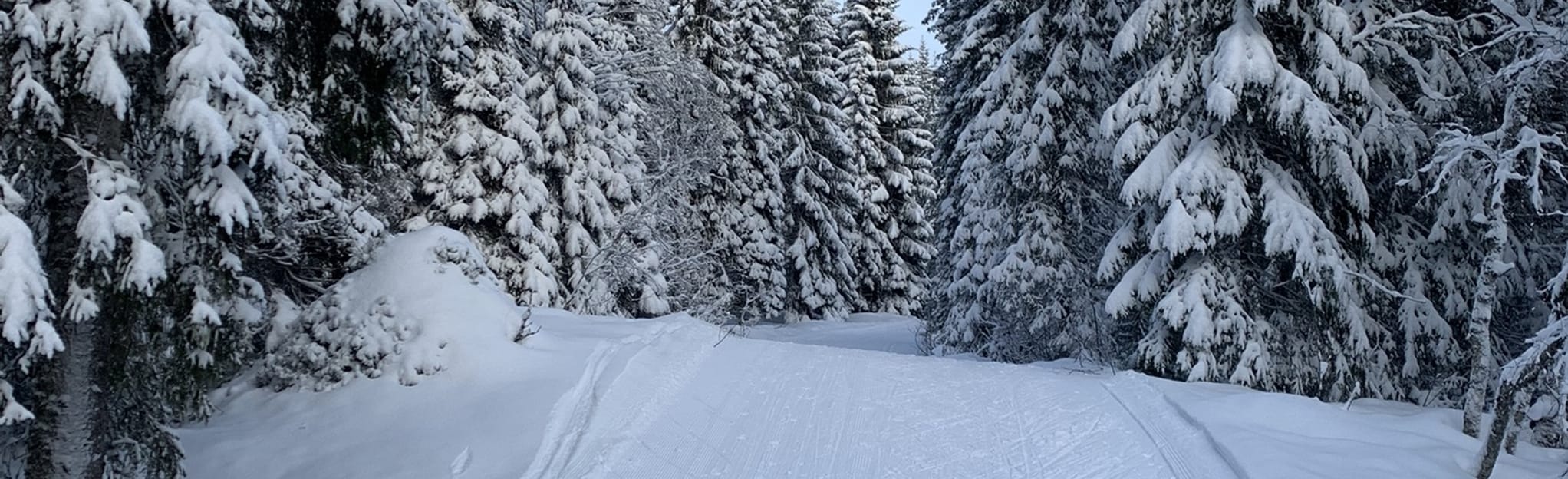Ski Tour: Lian - Elgsethytta, Trøndelag, Norway - 5 Reviews, Map ...