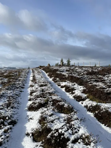 10 Best Trails and Hikes in Strathdon | AllTrails