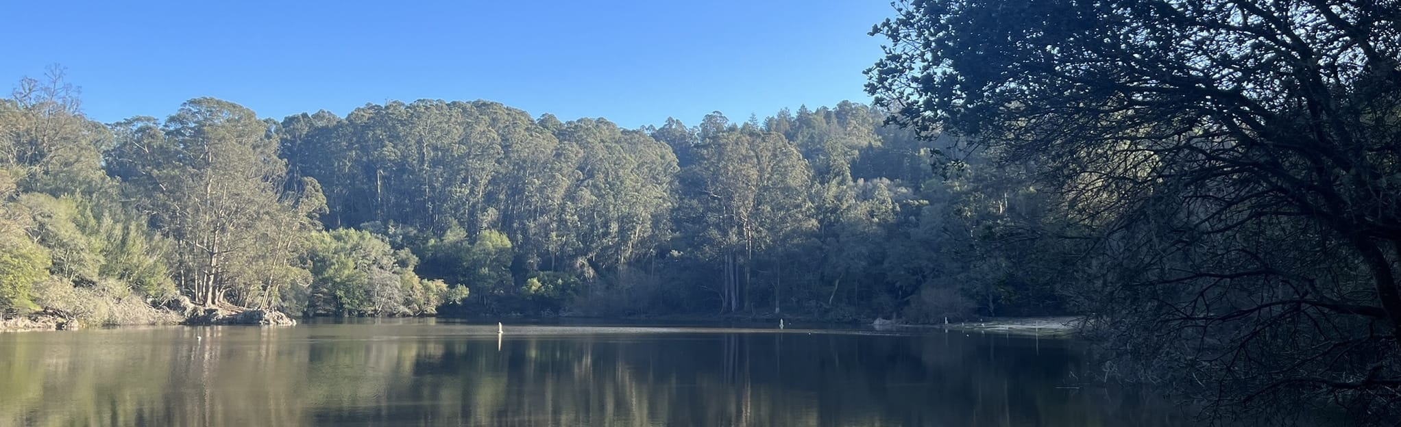 Mineral Springs to Lake Anza and Wildcat Gorge Trail: 41 Reviews, Map ...