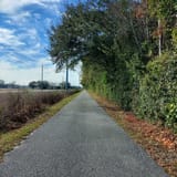 Nature Coast State Trail, Florida - 123 Reviews, Map | AllTrails