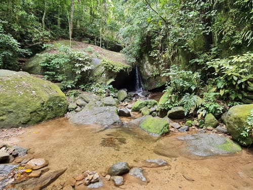 2023 Best 10 Easy Trails in Tijuca National Park | AllTrails