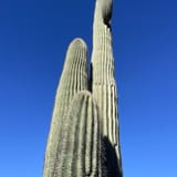 Hawes Trail System Loop, Arizona - 1,002 Reviews, Map | AllTrails