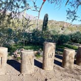 Hawes Trail System Loop, Arizona - 979 Reviews, Map | AllTrails