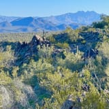 Hawes Trail System Loop, Arizona - 979 Reviews, Map | AllTrails