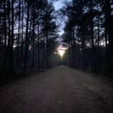Neusiok Trail, North Carolina - 90 Reviews, Map | AllTrails