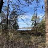 Neusiok Trail, North Carolina - 92 Reviews, Map | AllTrails