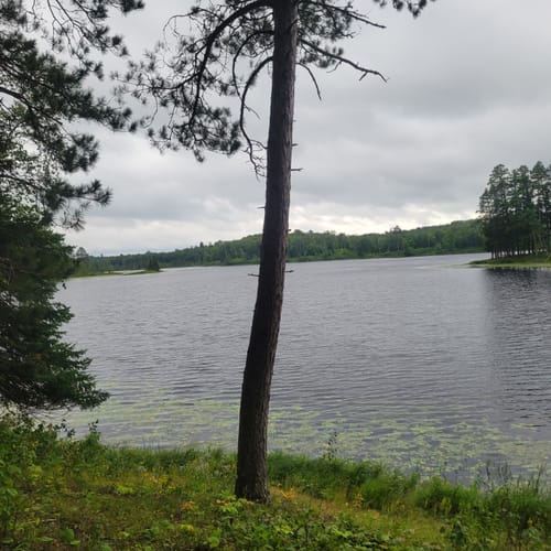 Best Hikes and Trails in Suomi HIlls Trail System | AllTrails