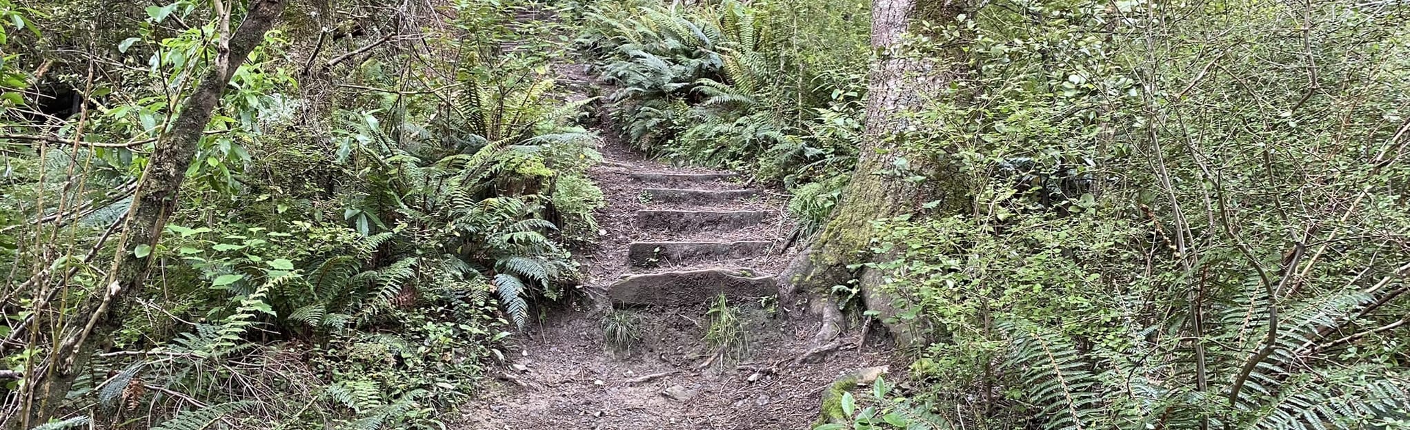 Pudding Hill Stream Route, Canterbury, New Zealand - 2 Reviews, Map ...