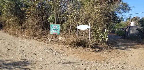 2023 Best Beach Trails in La Unión de Isidoro Montes de Oca | AllTrails