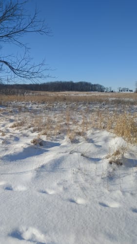 Best Hikes and Trails in Elburn Forest Preserve | AllTrails