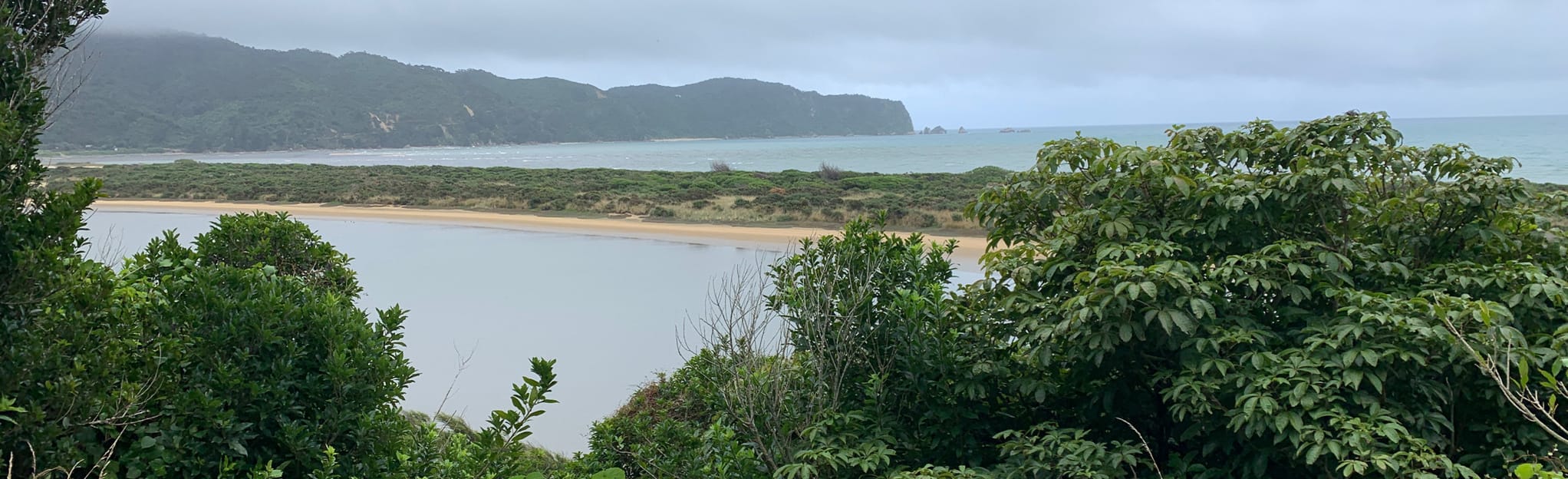 Wainui Bay Beach Walk, Nelson-Tasman, New Zealand - 3 Reviews, Map ...