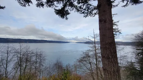10 Best Trails and Hikes in Gig Harbor | AllTrails