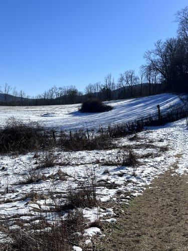 Best Hikes and Trails in Tyringham Cobble | AllTrails