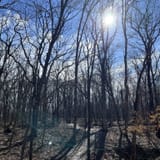 Stemler Cave Woods Interpretive Long Trail, Illinois - 397 Reviews, Map ...