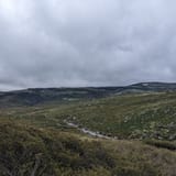 Illawong Walk, New South Wales, Australia - 330 Reviews, Map | AllTrails