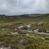 Illawong Walk, New South Wales, Australia - 330 Reviews, Map | AllTrails