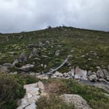 Illawong Walk, New South Wales, Australia - 330 Reviews, Map | AllTrails