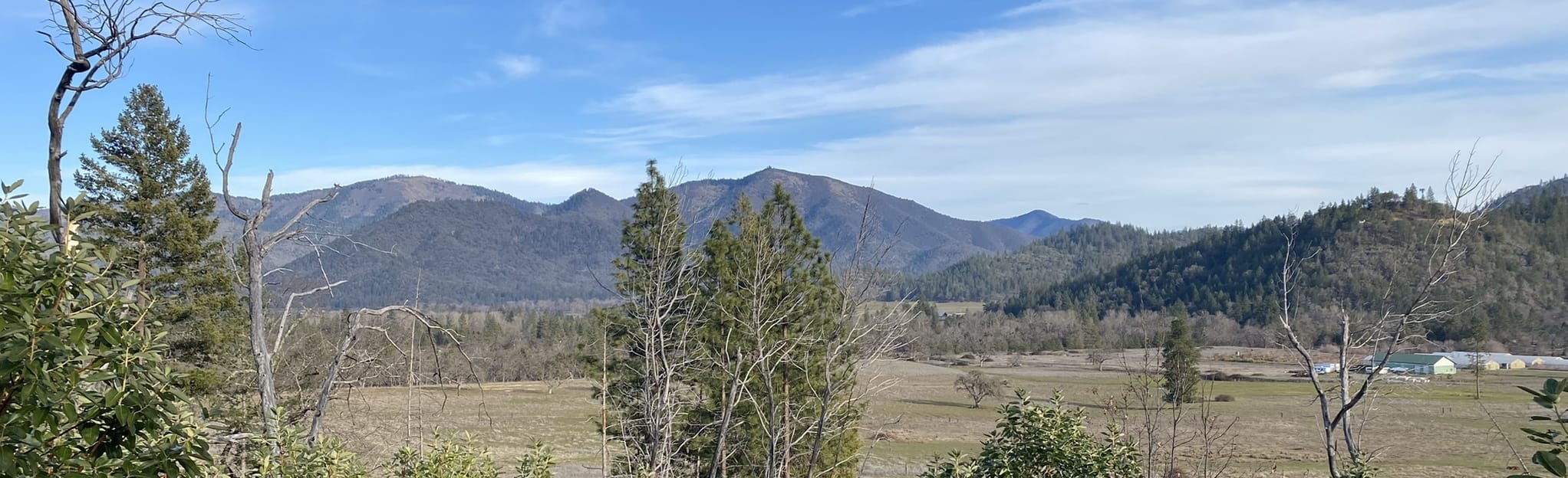 Camp Meeting Creek and Meadow Walk Loop: 13 Reviews, Map - Oregon ...