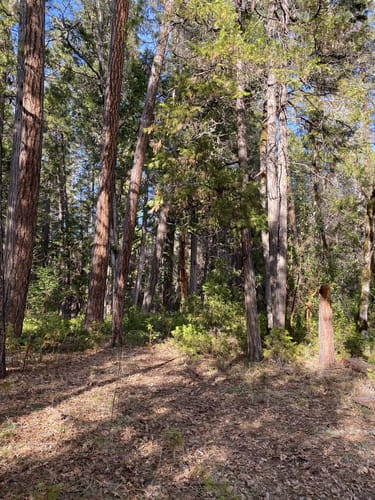 Best Hikes and Trails in Pacifica Gardens | AllTrails