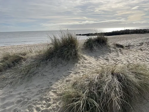 10 Best Walking Trails in Bournemouth | AllTrails