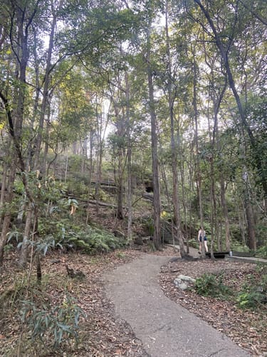 Best Hikes and Trails in Springwood Conservation Park | AllTrails