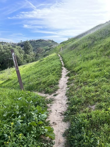 Best Hikes and Trails in El Modena Open Space | AllTrails