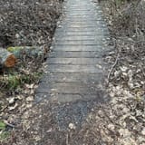 Sword Fern and Highline Trail, Washington - 243 Reviews, Map | AllTrails