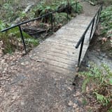 Sword Fern and Highline Trail, Washington - 222 Reviews, Map | AllTrails