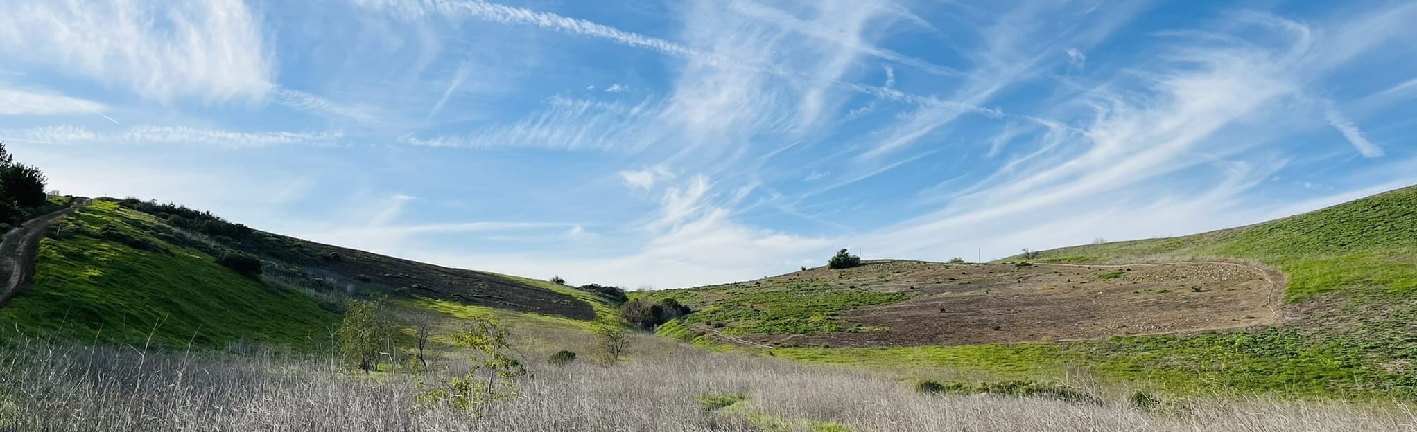 Gilman Peak, California - 501 Reviews, Map | AllTrails