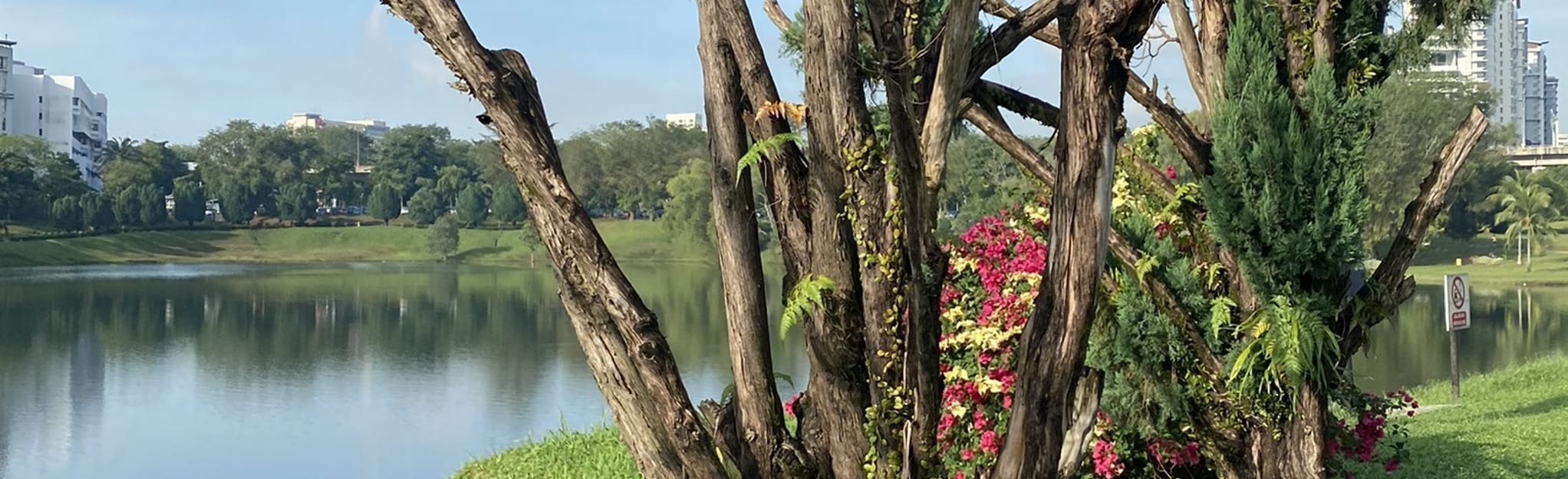 Subang Ria Lake, Selangor, Malaysia - 49 Reviews, Map | AllTrails