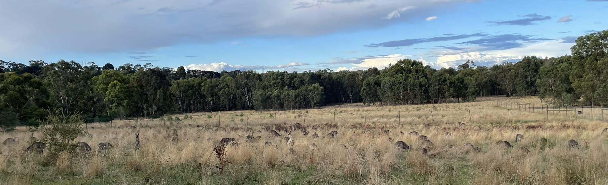 Westerfolds Park Circuit, Victoria, Australia - 379 Reviews, Map ...