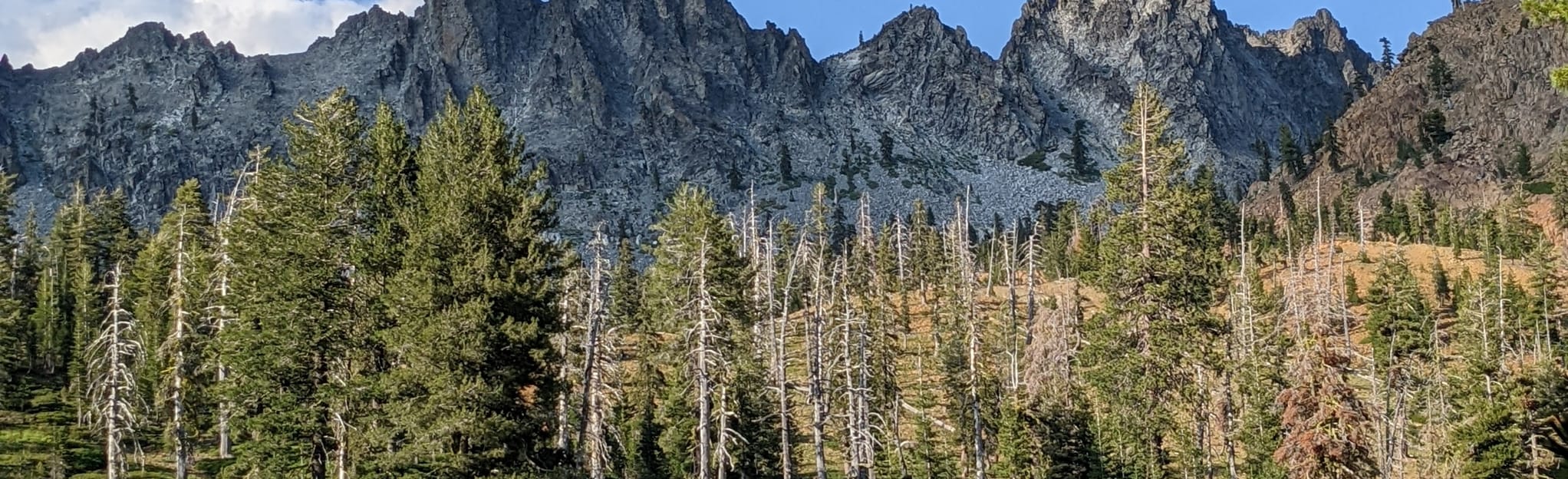 Stony Ridge Trail to Deer Lake, California - 18 Reviews, Map | AllTrails