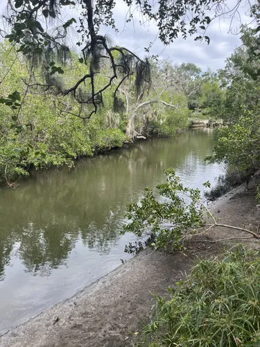 Best Hikes and Trails in Koreshan State Park | AllTrails