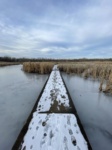 Best Hikes and Trails in Watershed Nature Center | AllTrails