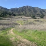 East Walker Loop, California - 495 Reviews, Map | AllTrails
