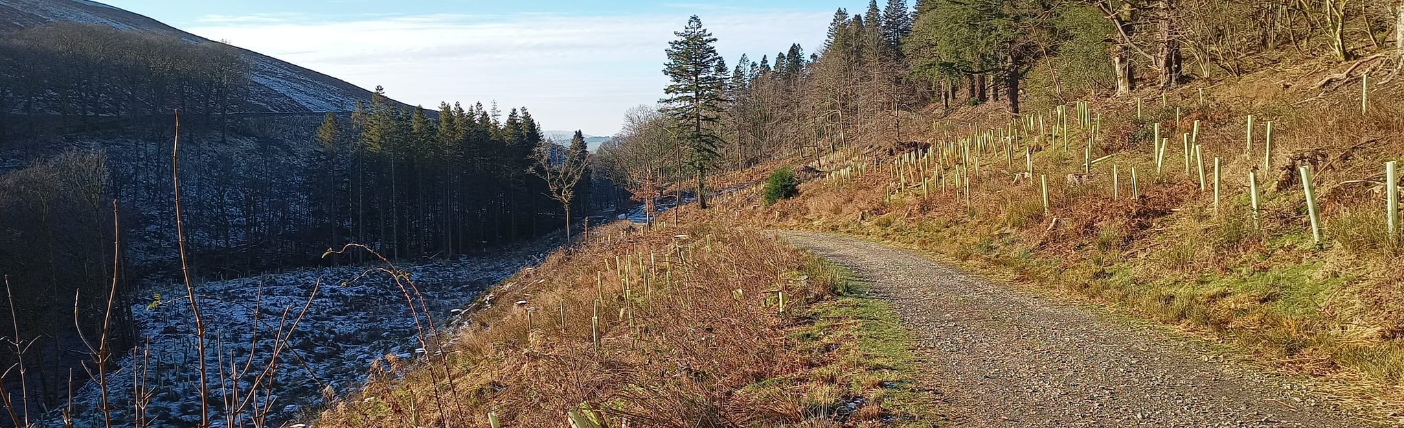 Barbon Beck Circular - Cumbria, England | AllTrails