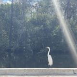 Loop Road Scenic Drive (County Road 94), Florida - 145 Reviews, Map ...