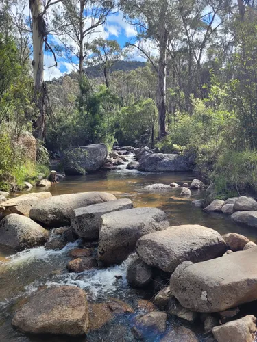 Best Hikes and Trails in Gibraltar Forest | AllTrails