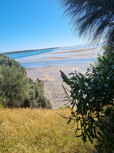 Best Hikes and Trails in Anderson Inlet Coastal Reserve | AllTrails