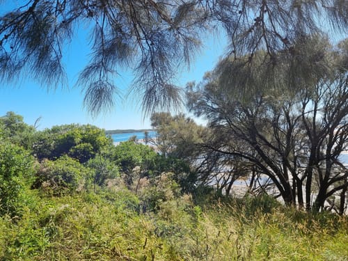 Best Hikes and Trails in Anderson Inlet Coastal Reserve | AllTrails