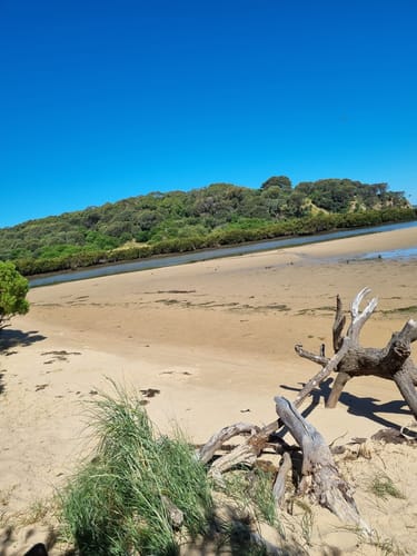 Best Hikes and Trails in Anderson Inlet Coastal Reserve | AllTrails