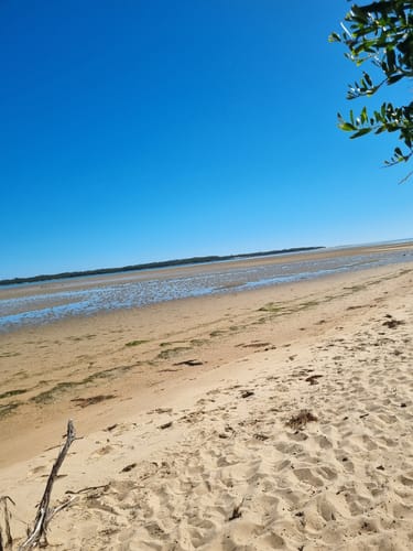 Best Hikes and Trails in Anderson Inlet Coastal Reserve | AllTrails