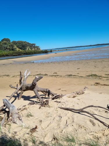 Best Hikes and Trails in Anderson Inlet Coastal Reserve | AllTrails